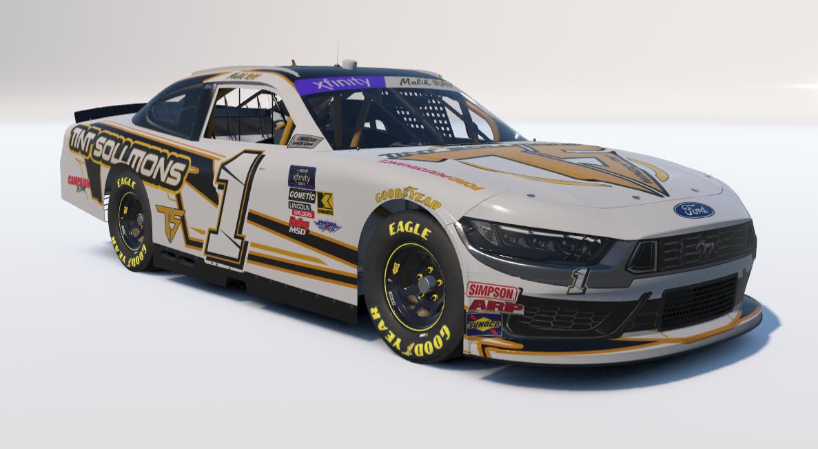 Malik Ray #1 Tint Solutions by Roger S. - Trading Paints