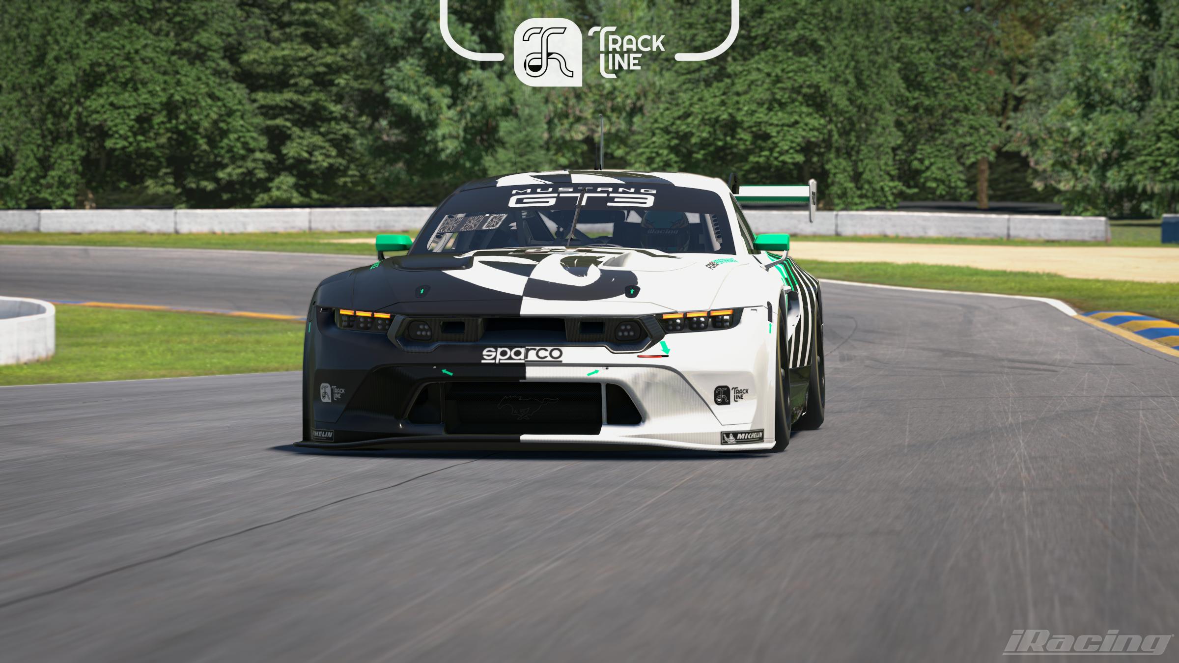 Ford Mustang GT3 Ghost by Tommy S. - Trading Paints