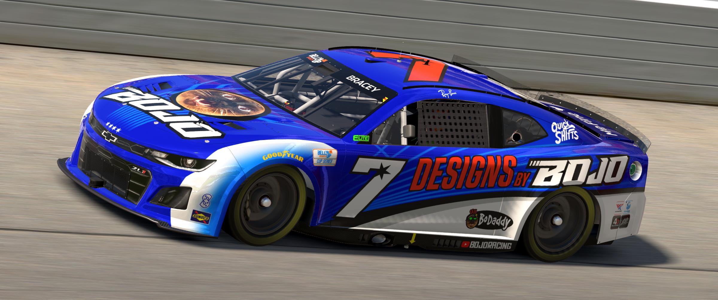 ELITE 25B - BOJO Designs by Ray B. - Trading Paints