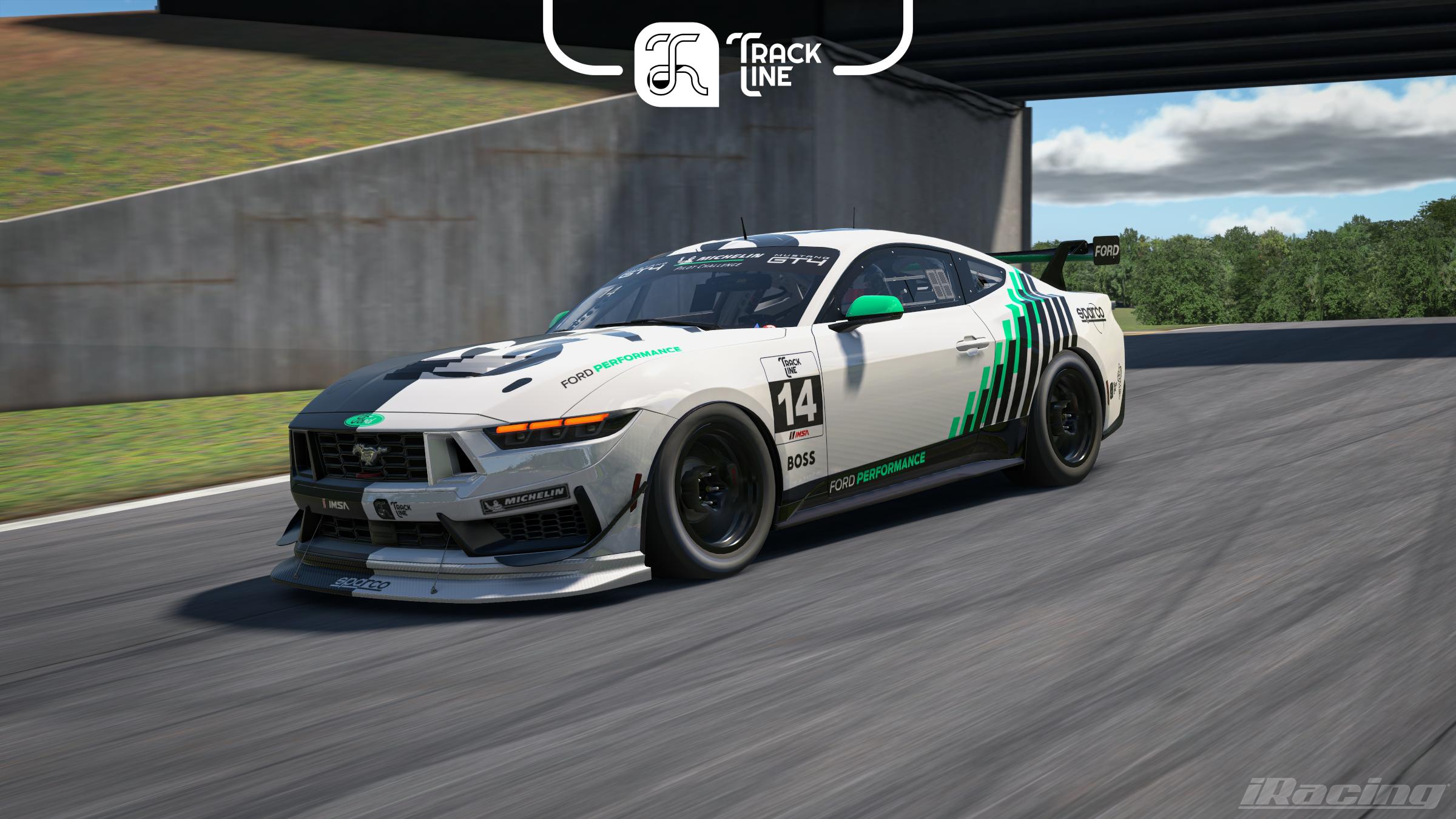 Ford Mustang GT4 Ghost by Tommy S. - Trading Paints