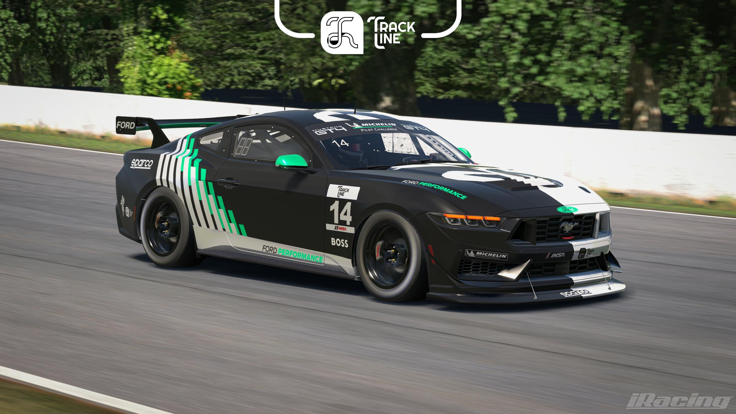 Ford Mustang GT4 Ghost by Tommy S. - Trading Paints
