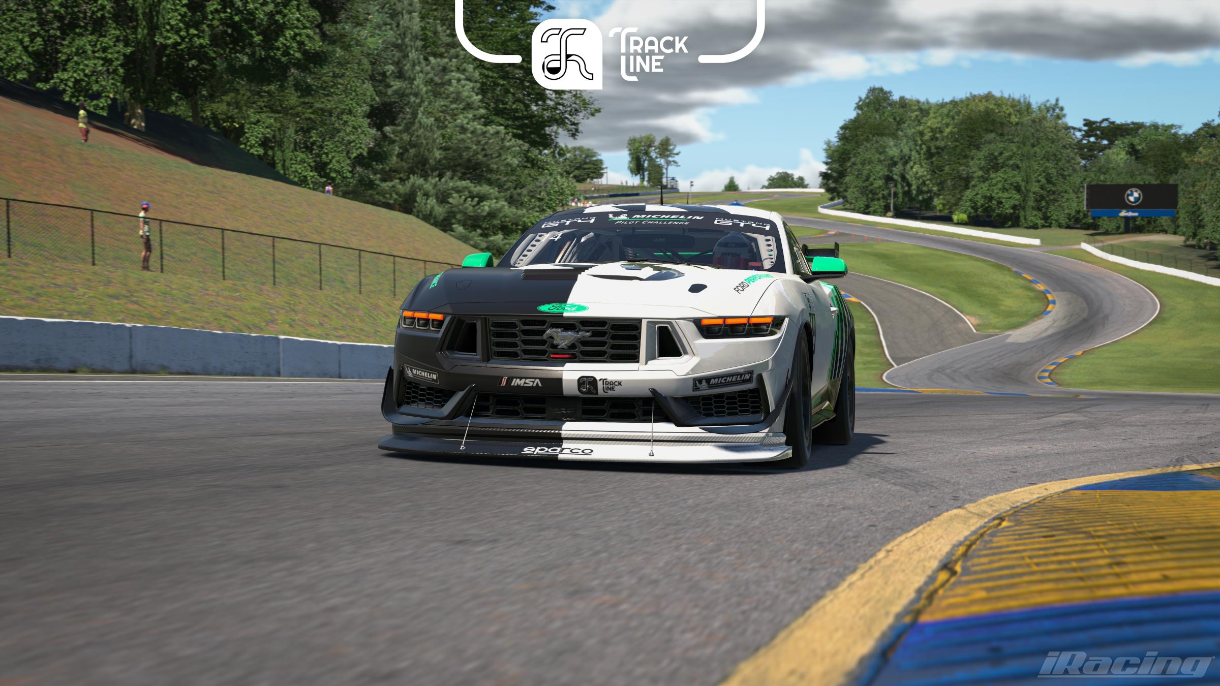 Ford Mustang GT4 Ghost by Tommy S. - Trading Paints