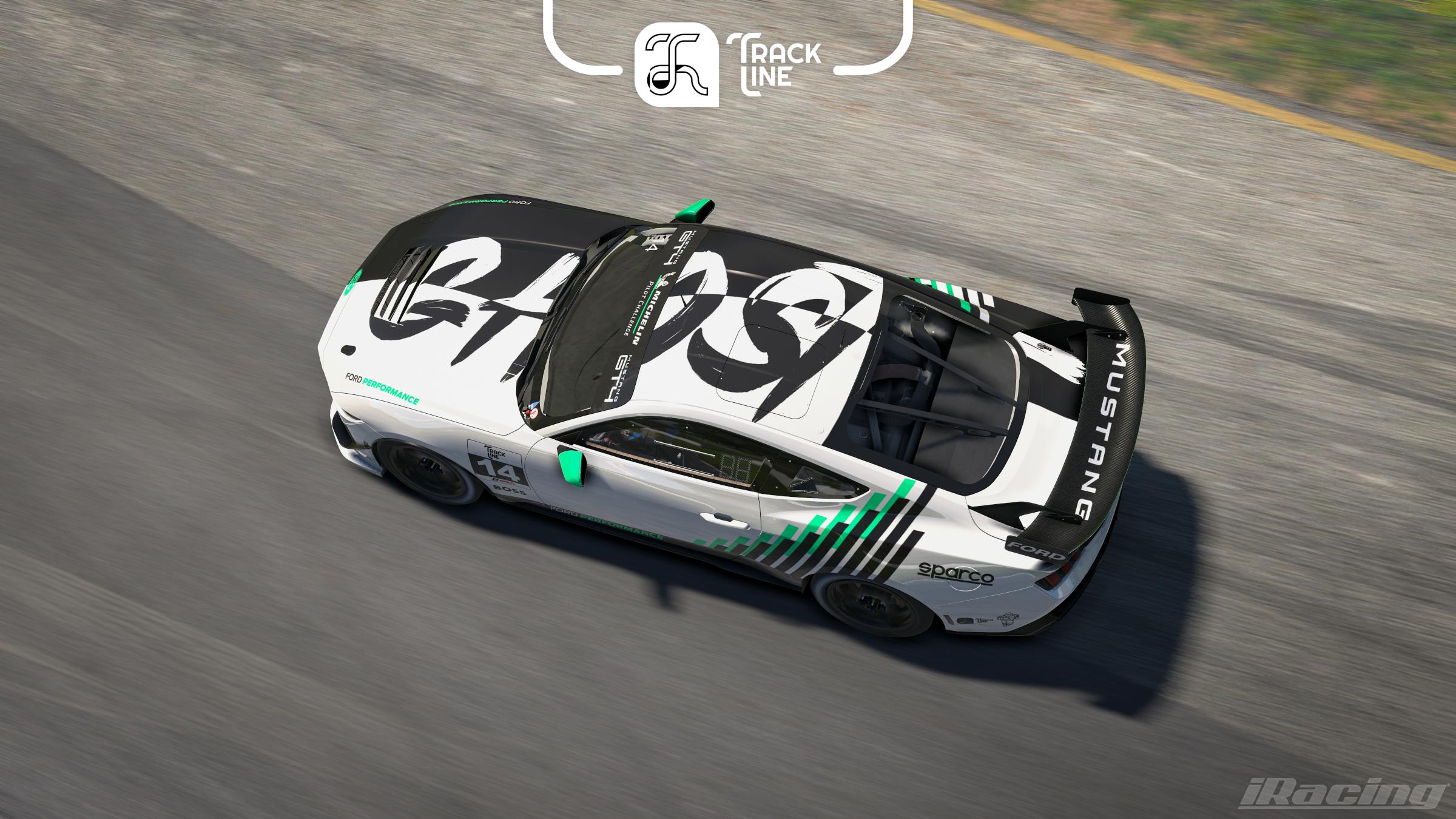 Ford Mustang GT4 Ghost by Tommy S. - Trading Paints