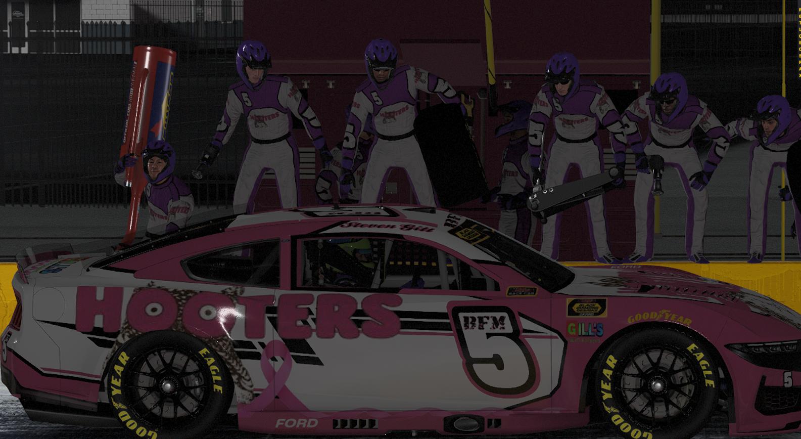 HOOTERS BREAST CANCER AWARENESS by Steven Gill - Trading Paints