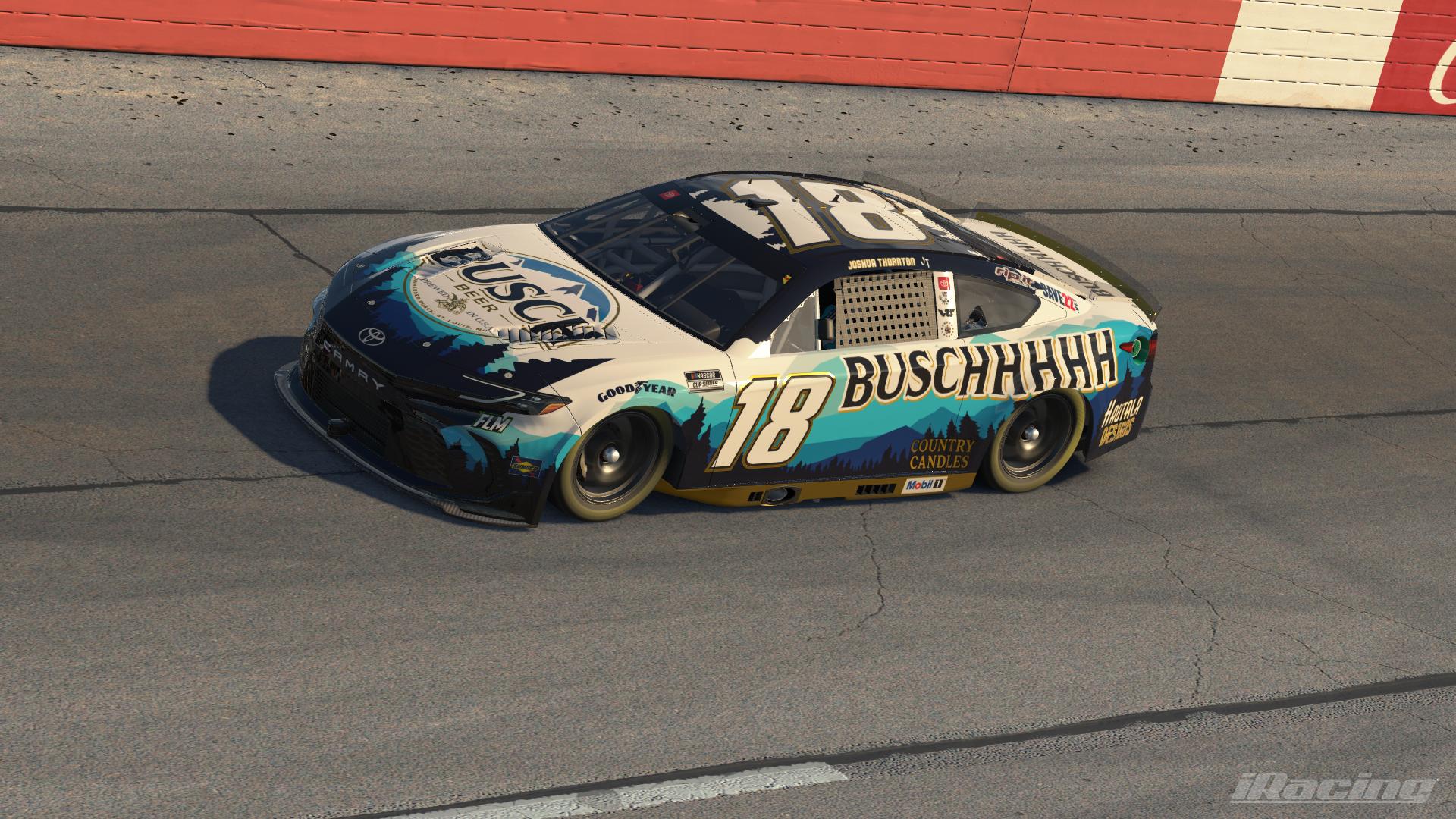 Busch 18 Camry by Jackson Hautala - Trading Paints