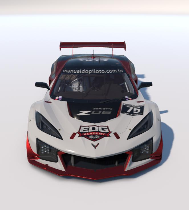 Corvete GT3 Edinho by Jose G. - Trading Paints