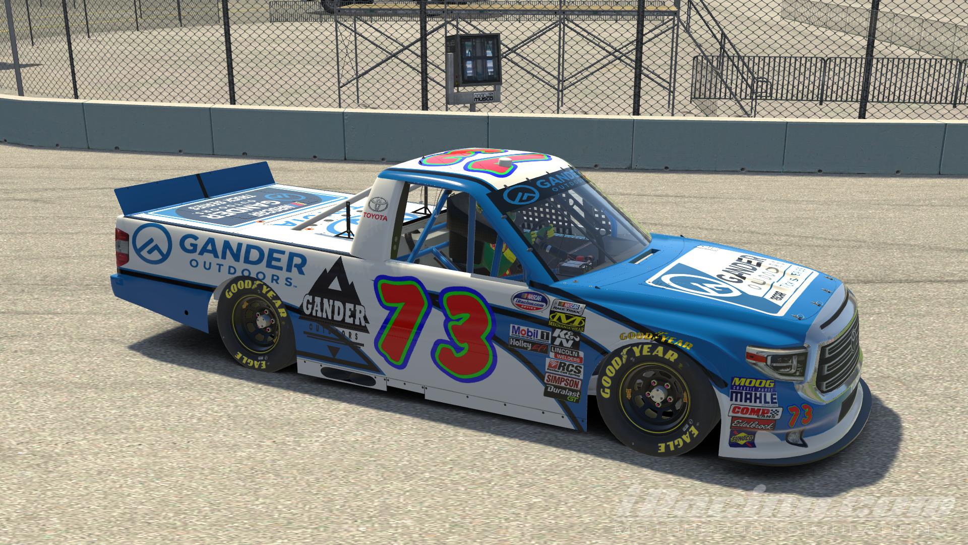Gander Outdoors by Chris L Davis - Trading Paints