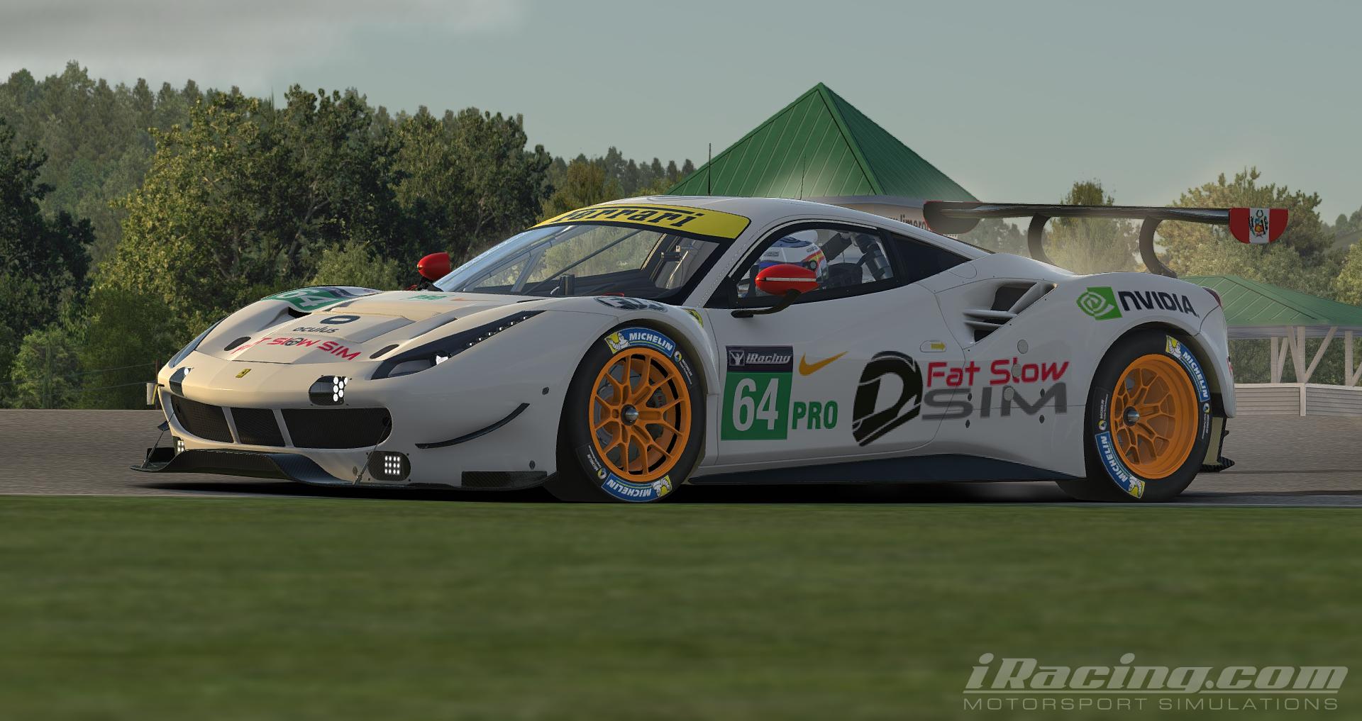 FERRARI GTE FAT SLOW SIM by Angelo Abarca - Trading Paints