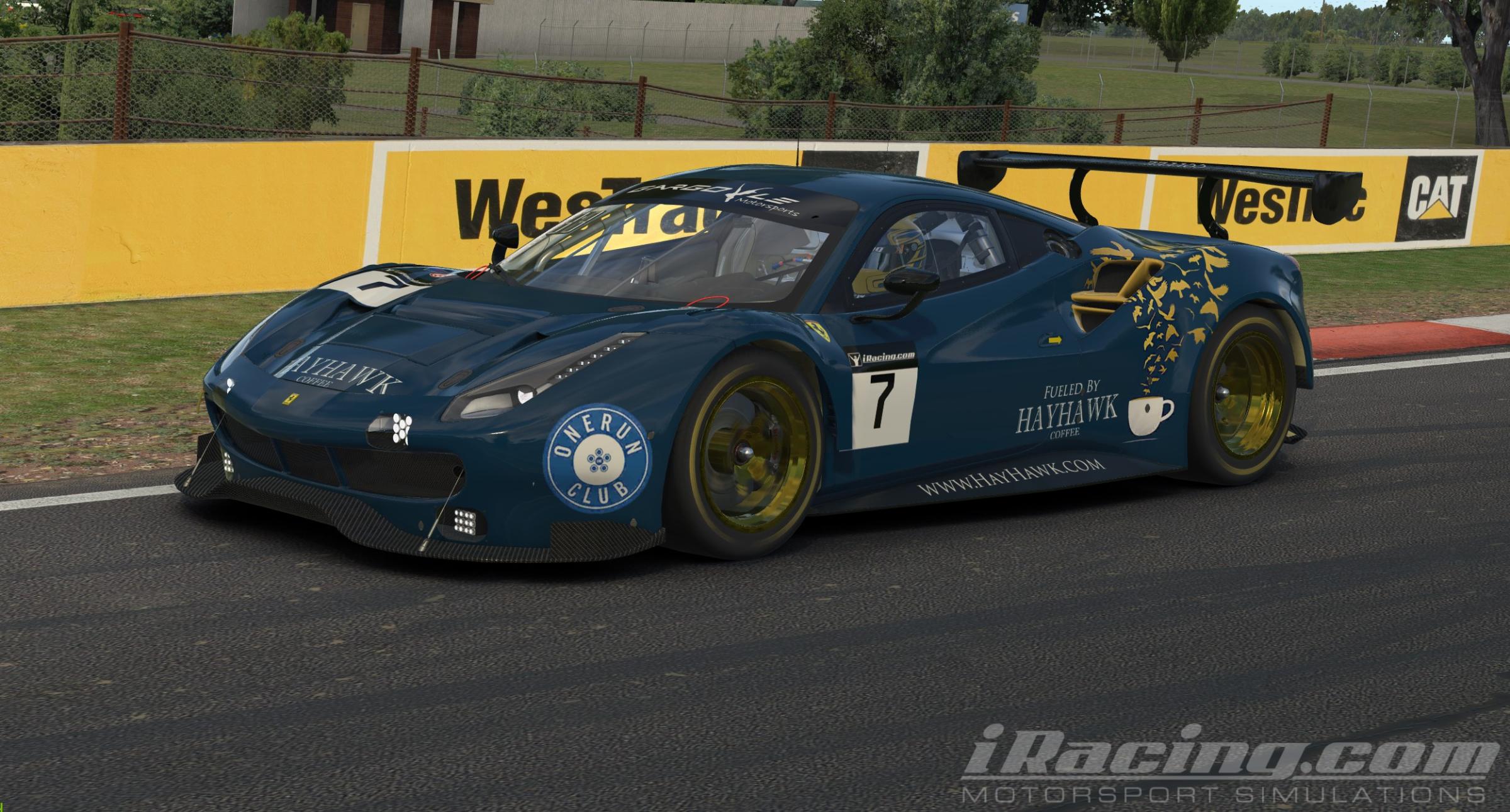 Hayhawk Ferrari GT3 by Devin Donaghy - Trading Paints
