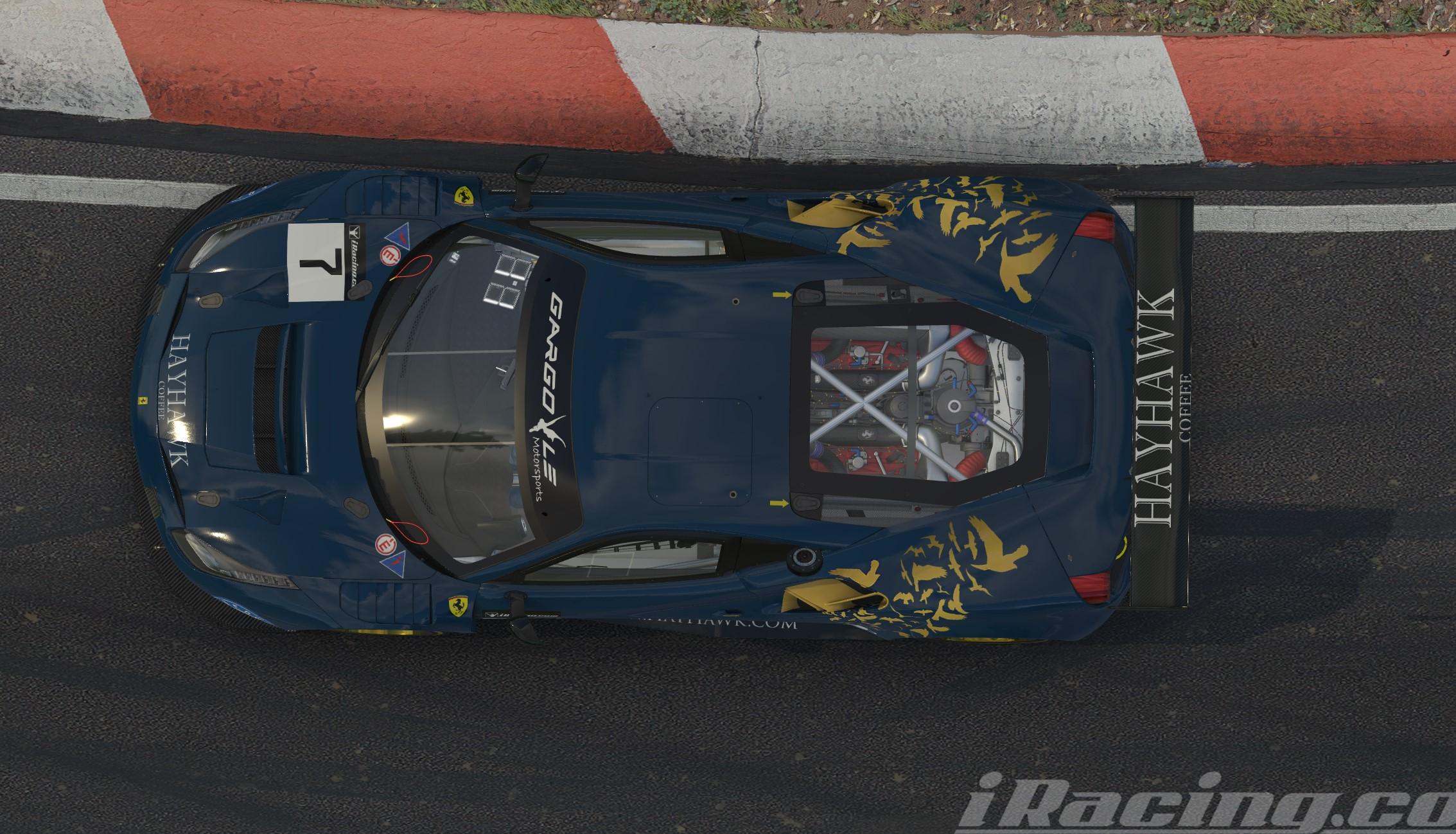 Hayhawk Ferrari GT3 by Devin Donaghy - Trading Paints