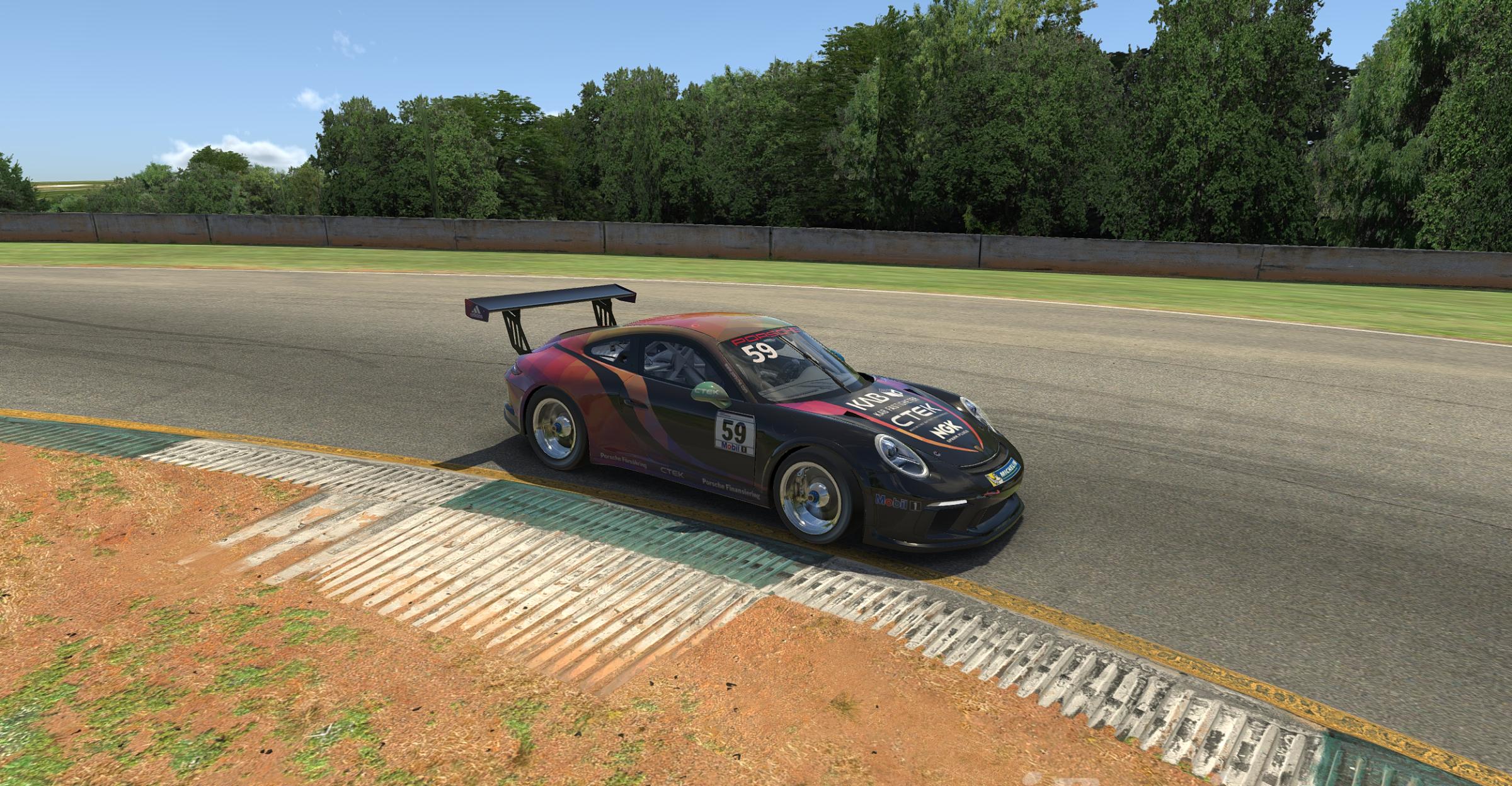 P911 Cup CTEK by Eimantas Sileikis - Trading Paints