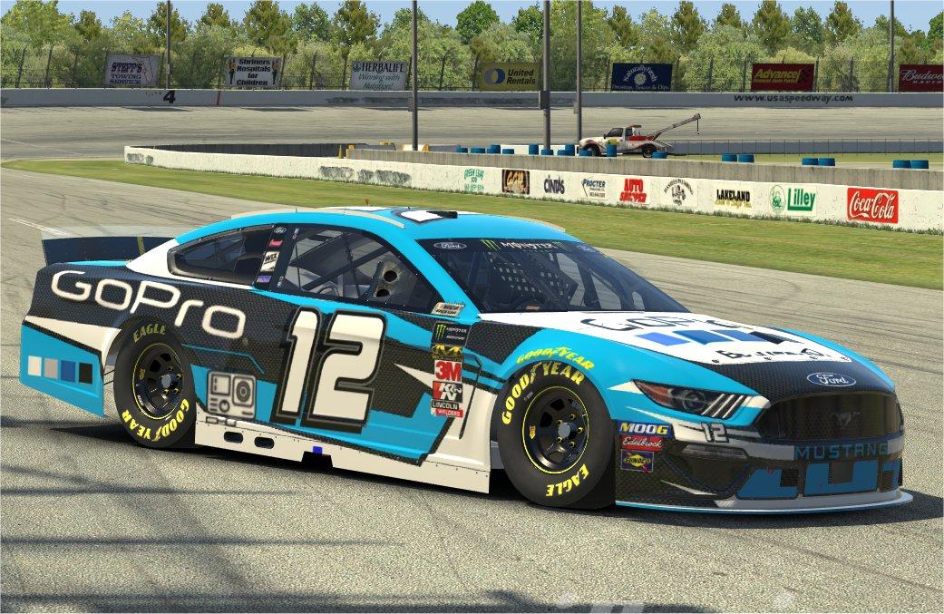 GoPro by Ken McDonald - Trading Paints