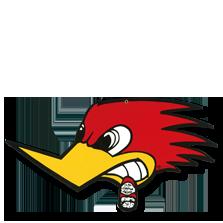 F3 Desjardins chevaliers OKeef by Pierre-Luc Bouffard - Trading Paints