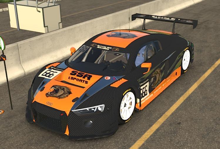 Team Livery - Savage Sim Racing by Wayne Bennett - Trading Paints