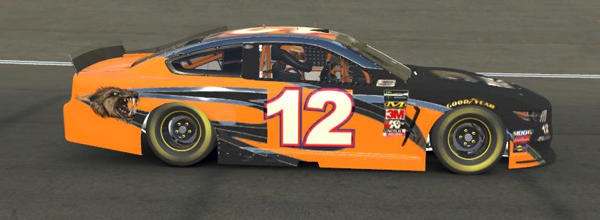 Team Livery - Savage Sim Racing by Wayne Bennett - Trading Paints