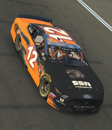 Team Livery - Savage Sim Racing by Wayne Bennett - Trading Paints