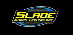 rico rst 2020 car by Layne Leoffler - Trading Paints