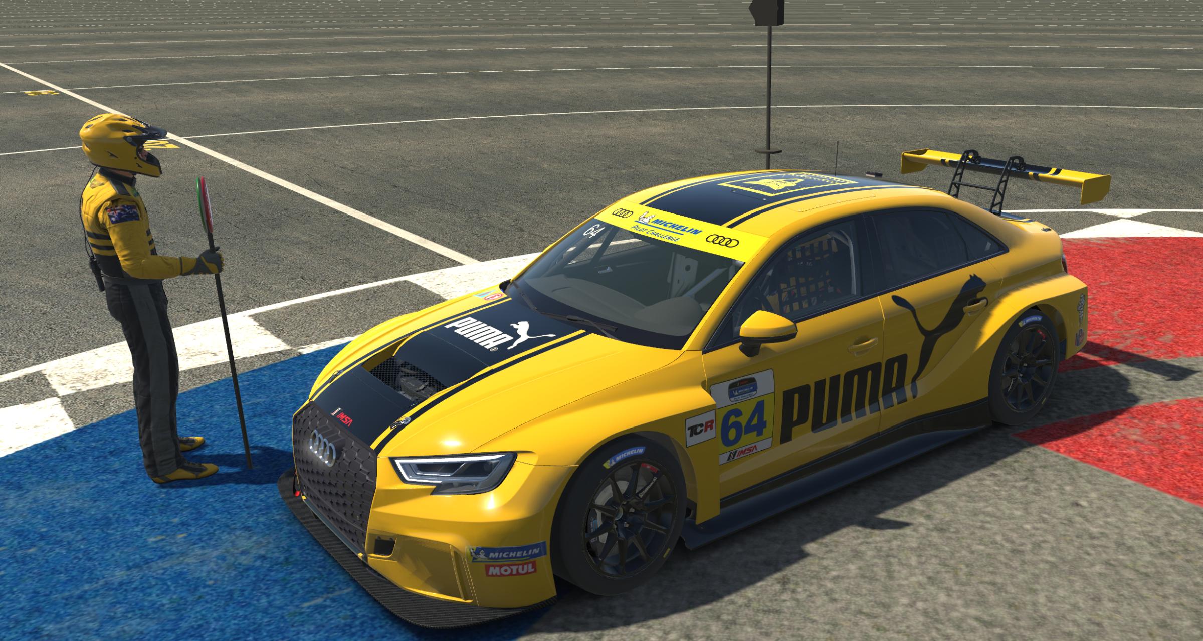 Puma Audi RS3 LMS TCR by Ben Paine - Trading Paints