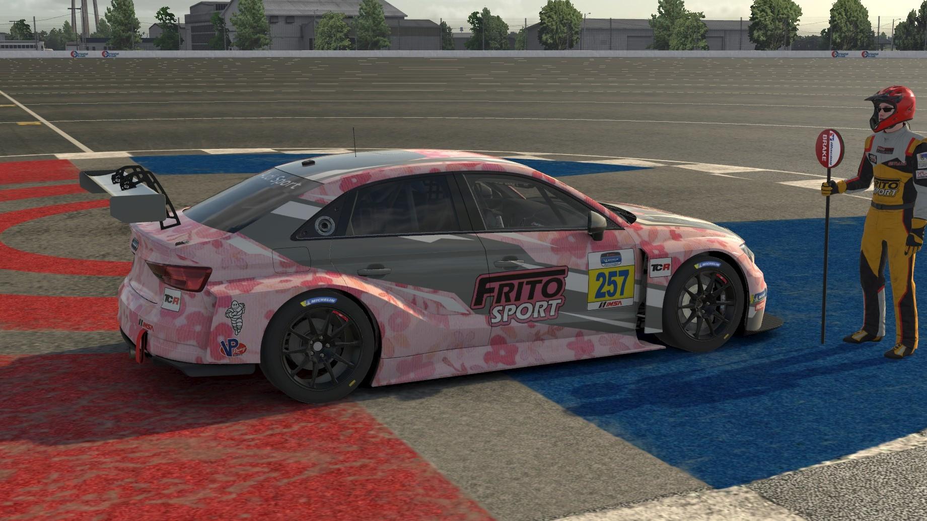 Audi RS3 LMS TCR Bela Racer FRITO by Edgar S. - Trading Paints