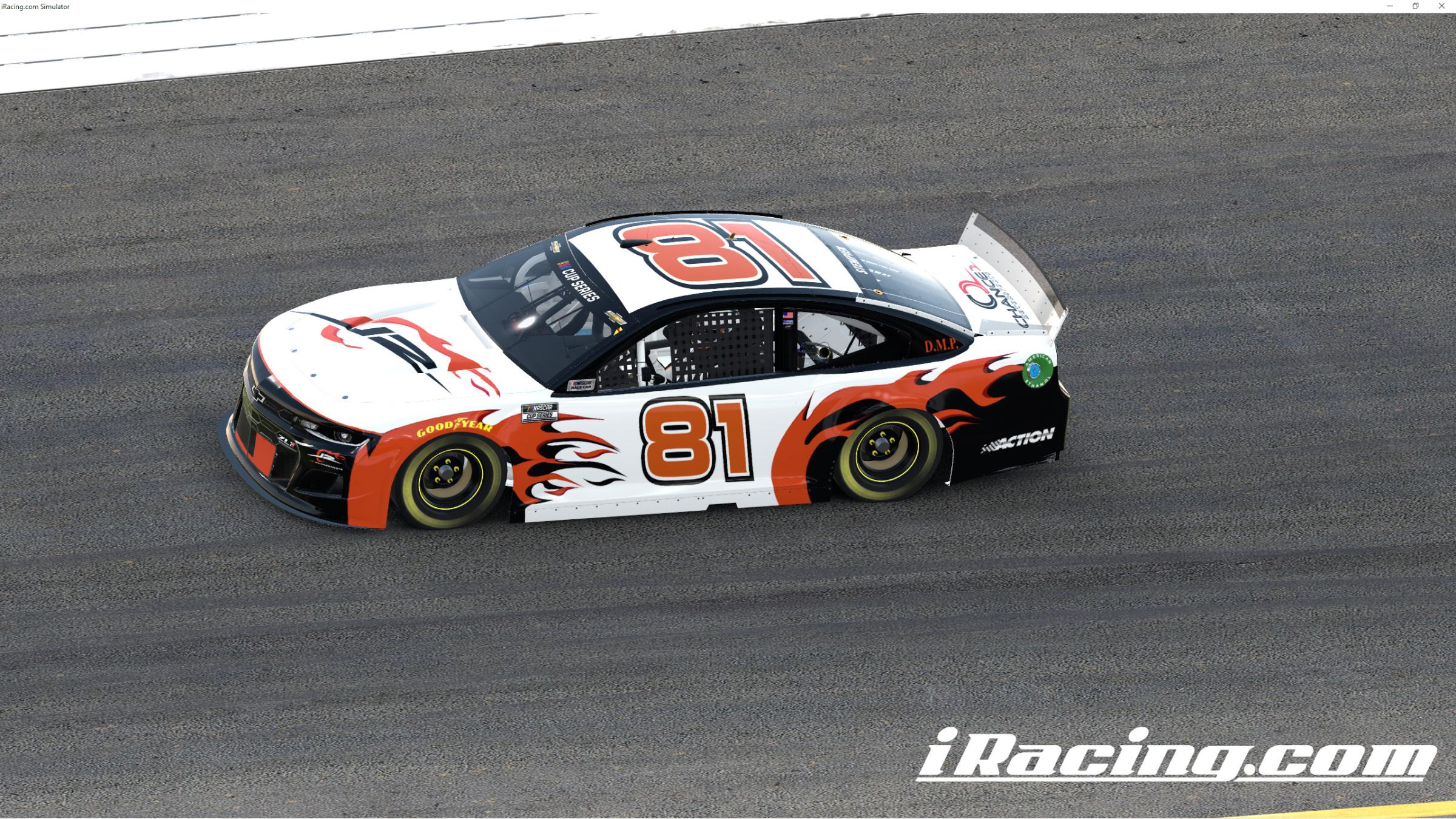 DALE JR DMP Throwback No # by Steven Stempien - Trading Paints