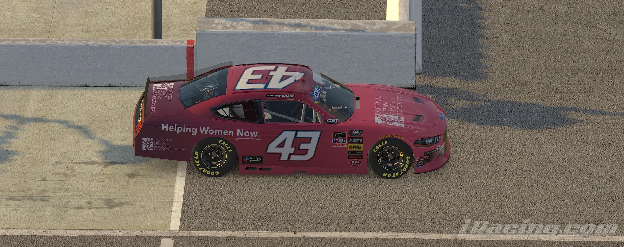 National Breast Cancer Foundation Mustang (for Shawn Brant) by Steve ...