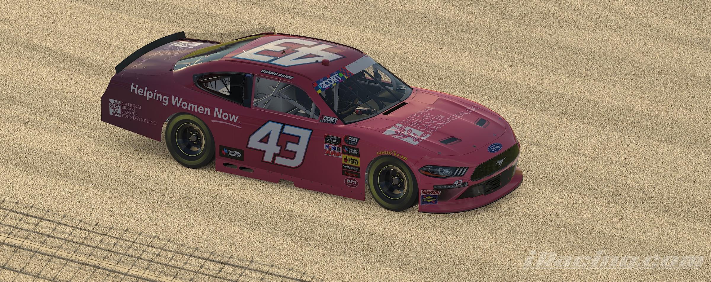National Breast Cancer Foundation Mustang (for Shawn Brant) by Steve ...