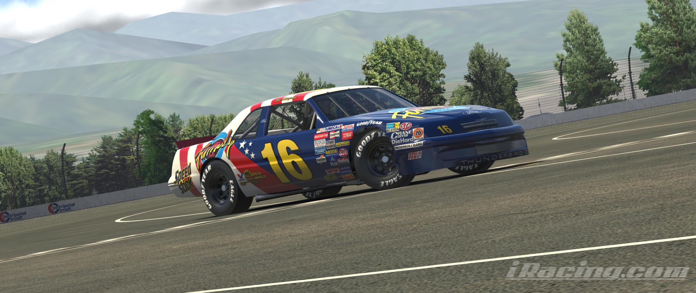Ted Musgrave 1995 Family Channel Ford Thunderbird (No Number) by Evan ...