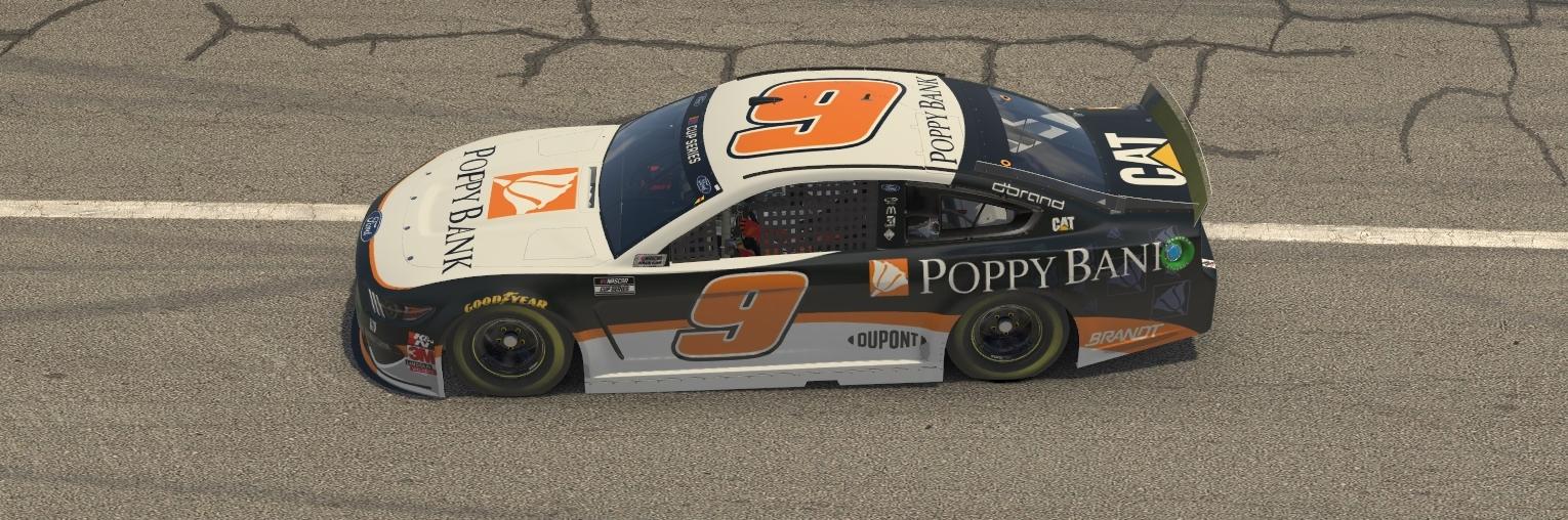 Poppy Bank (W/ Number) by Damon Goldsboro - Trading Paints