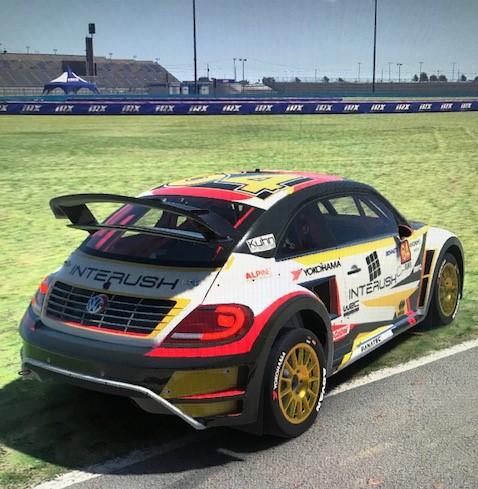 DIRT BEETLE by Shawn B. - Trading Paints