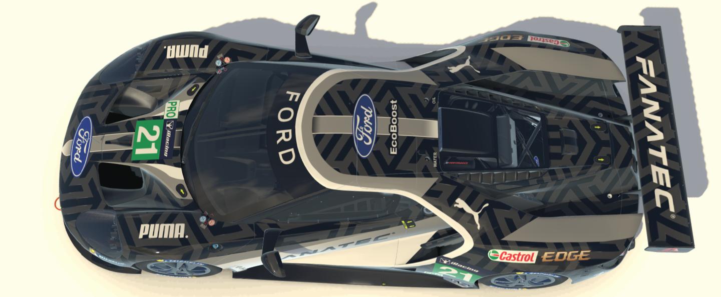 Ford GTE - Thm by Matt Kindig - Trading Paints