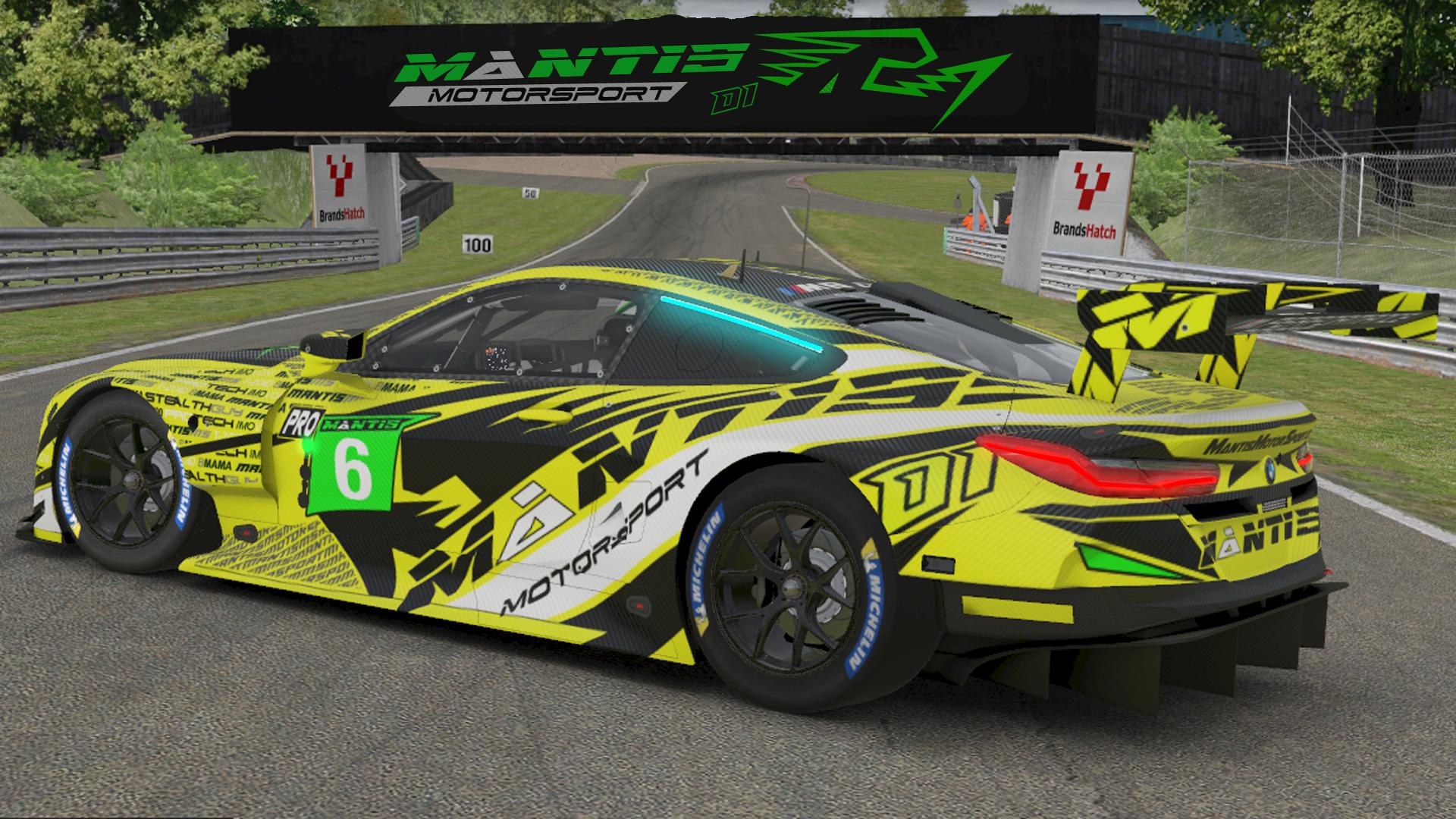 BMW M8 GTE YELLOW CARBON by Kirk S. - Trading Paints