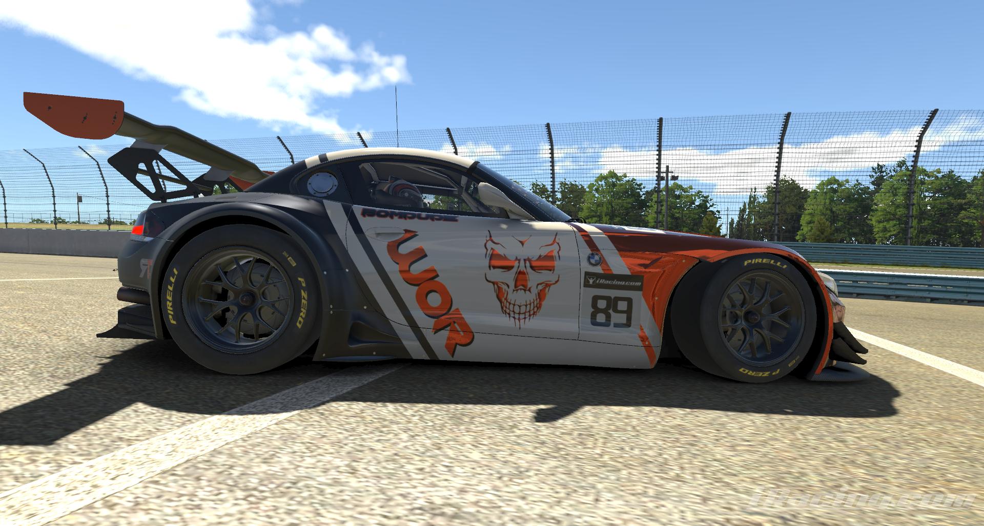 BMW Z4 GT3 by Robert Doig - Trading Paints