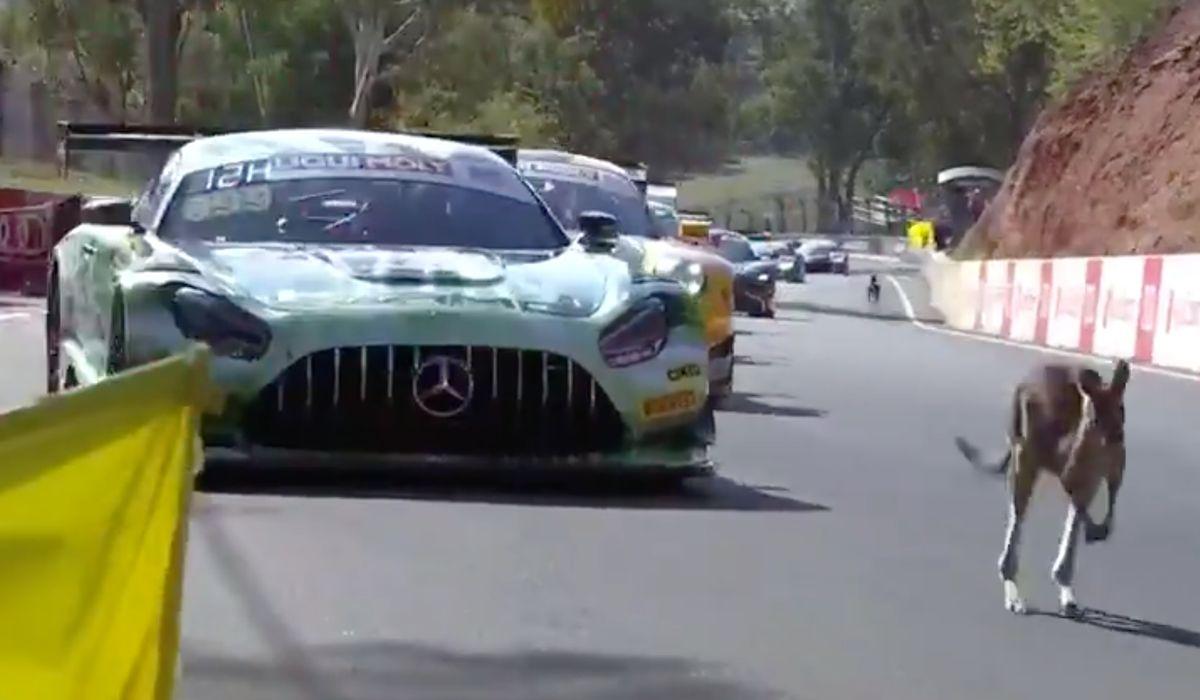 robby lyons by George Conrad - Trading Paints