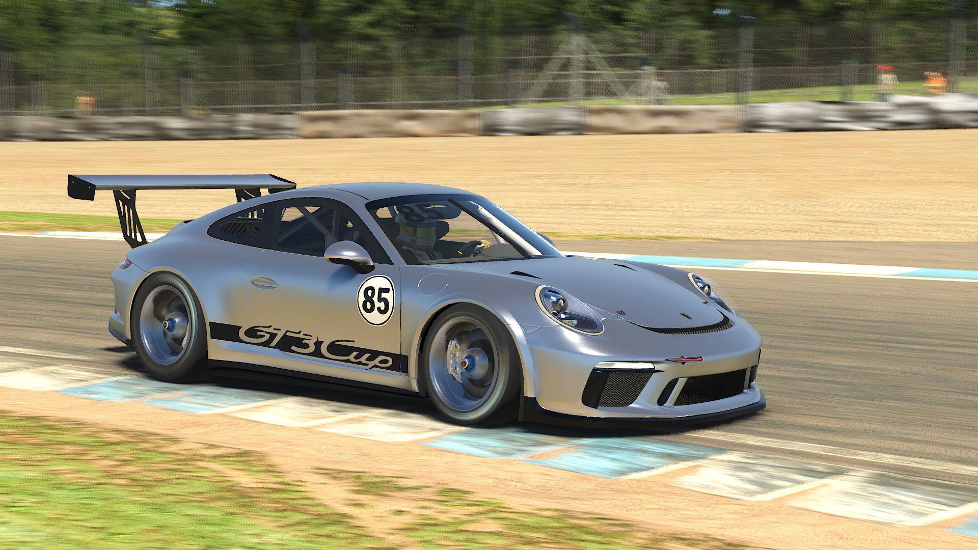 Silver GT3 Cup by Magnus P. - Trading Paints