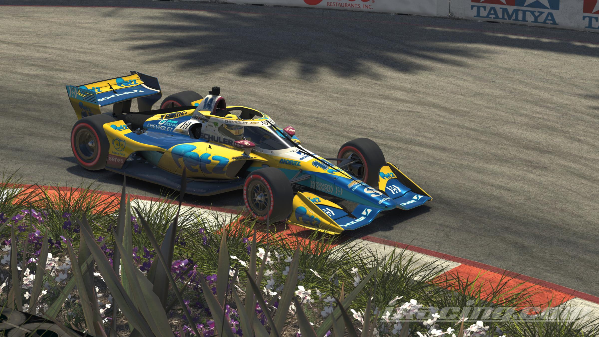 PETZ SCHULER 2021 SEASON RACING TEAM - METTALIC -FREE by Bruno ...