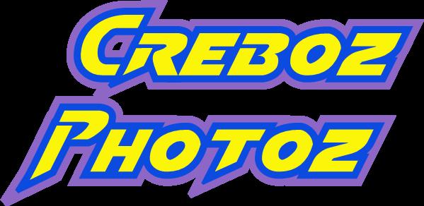 LDM Sprint Car June 6 by Bo C. - Trading Paints