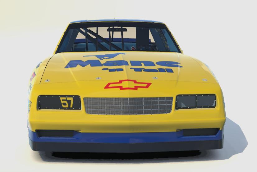 Bobby Peters Mane n Tail Earnhardt Paint by Steven Ayers Jr - Trading ...