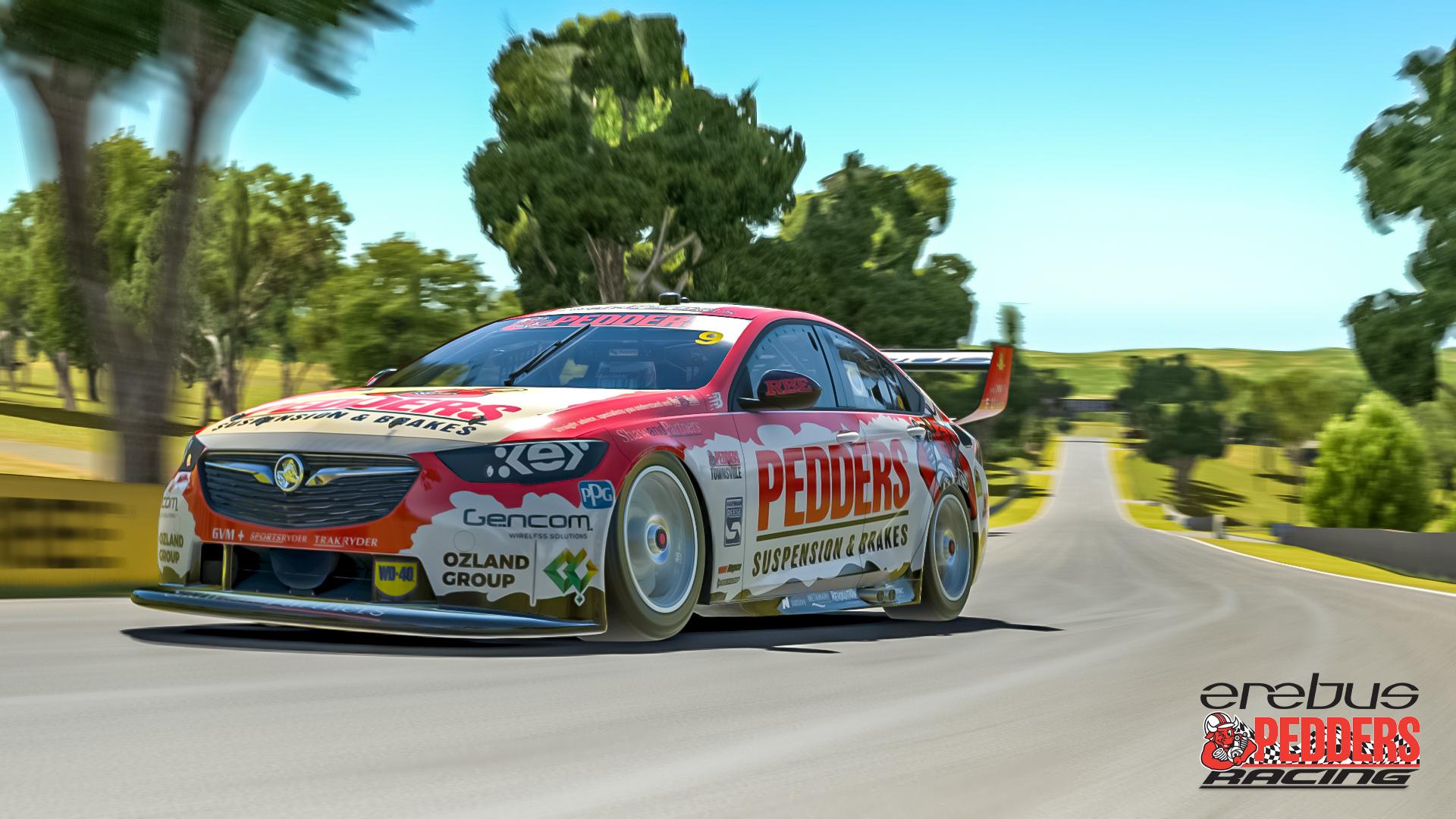 Erebus Pedders Racing 2021 by Paul Mansell - Trading Paints