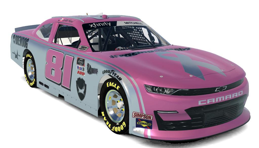 Seth Reed - NASCAR XFINITY Chevrolet Camaro - Brewdog / Breast Cancer ...
