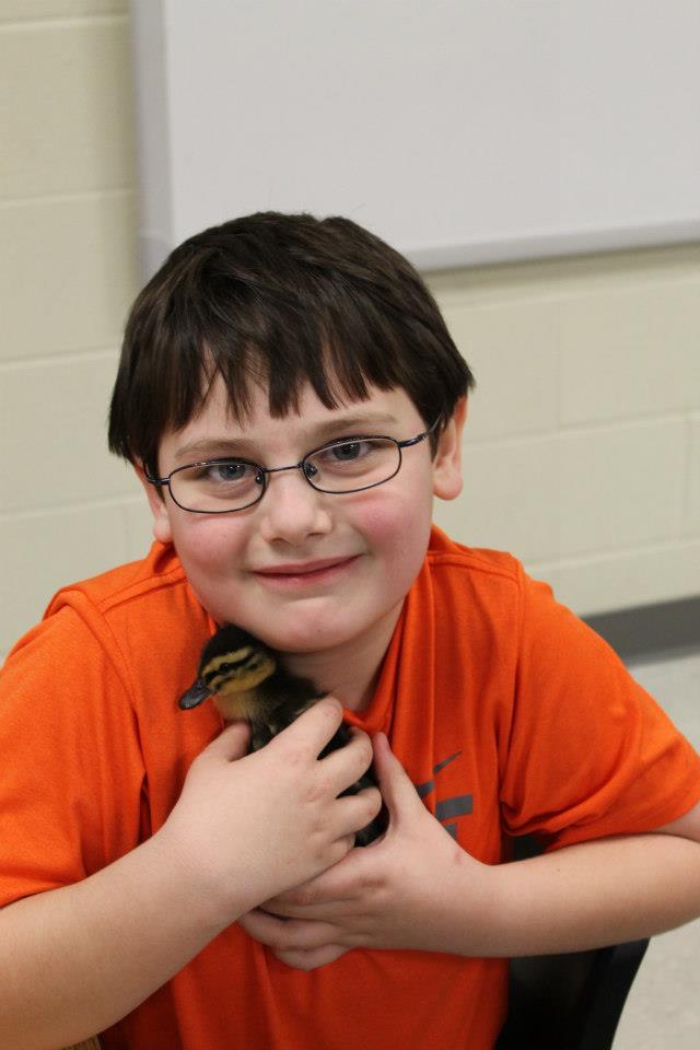 jakin chicken and icee cram car by Charlie R Mefford - Trading Paints