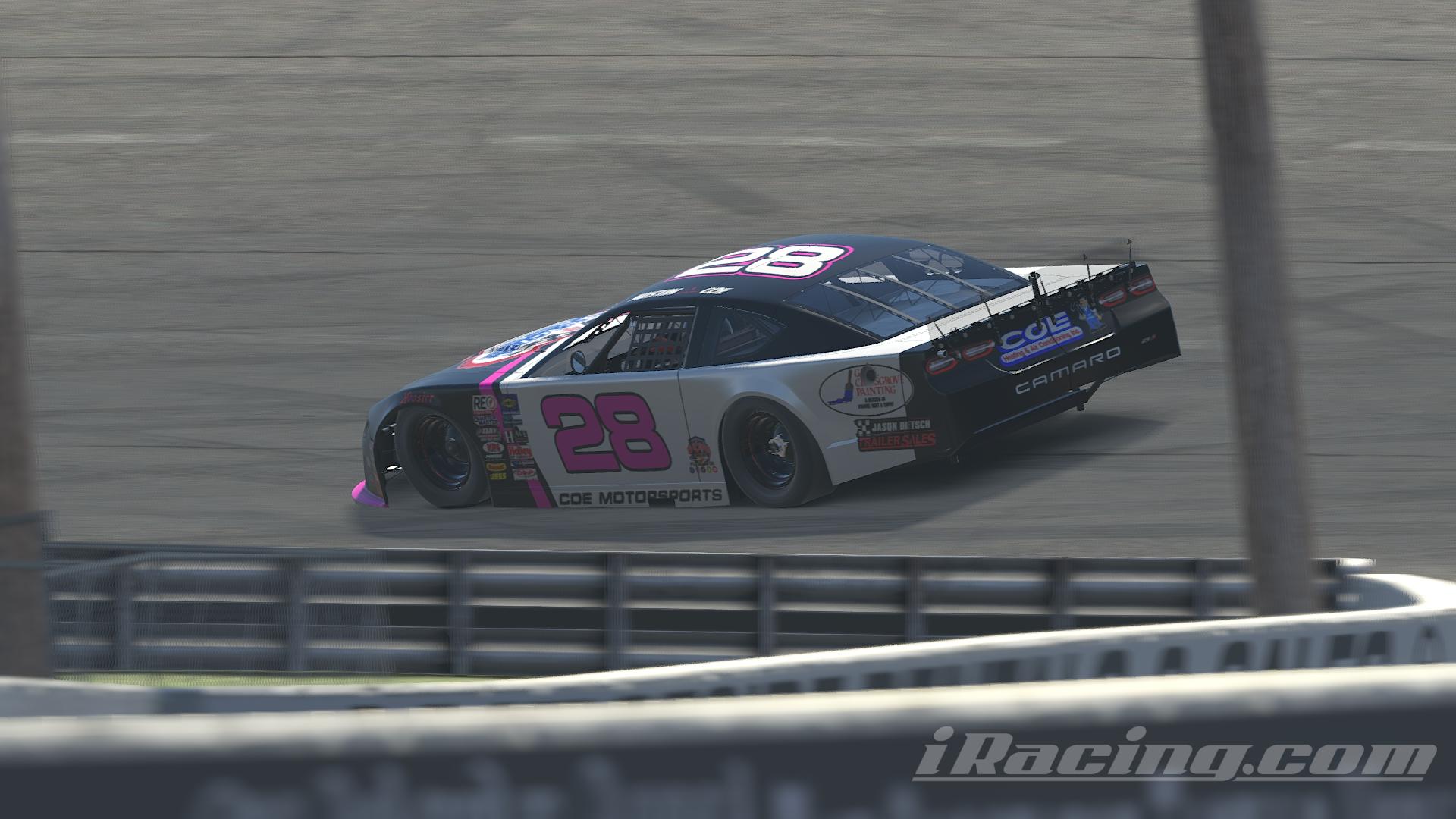 Austin Coe White with Pink #28 by Winston Deel - Trading Paints