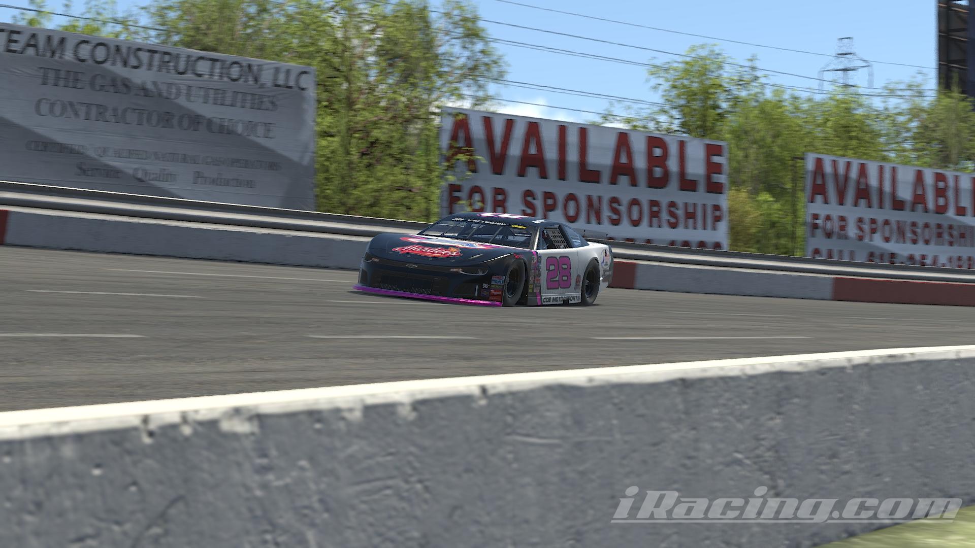 Austin Coe White with Pink #28 by Winston Deel - Trading Paints
