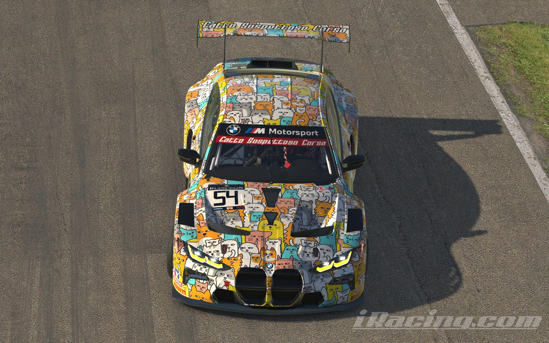 Suspicious Cats (IMSA Series) by David ter Stal - Trading Paints
