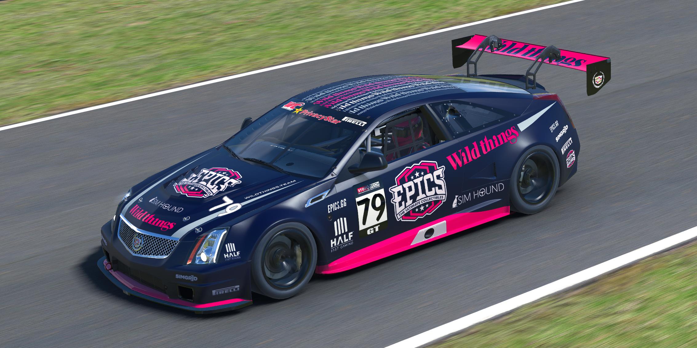 Wild things Racing CTS-V by Denise Pope - Trading Paints