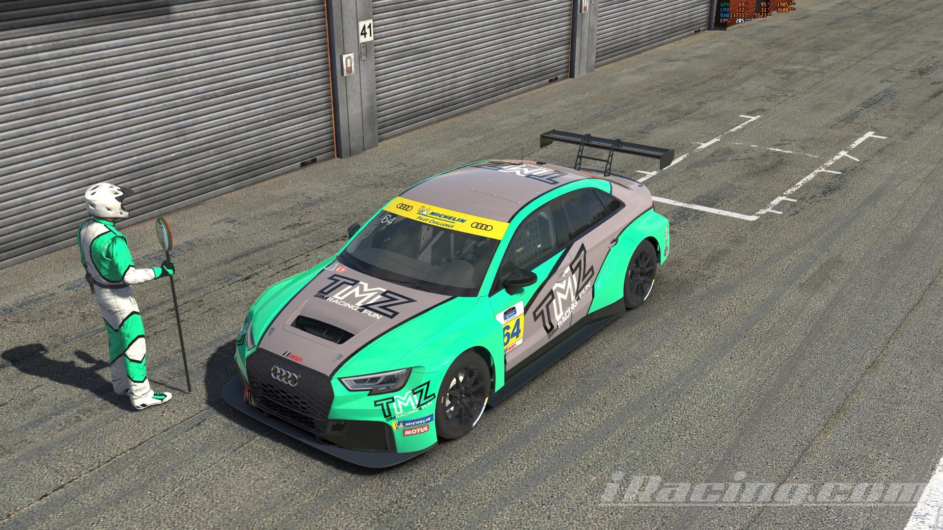 Audi RS3 LMS TMZ Team Mazazos by Felix Perez G - Trading Paints