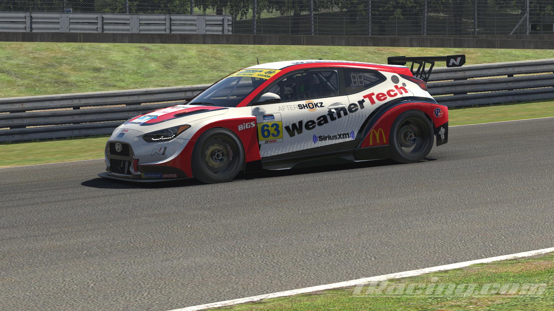 Weather Tech Veloster by Tyler Marifke - Trading Paints