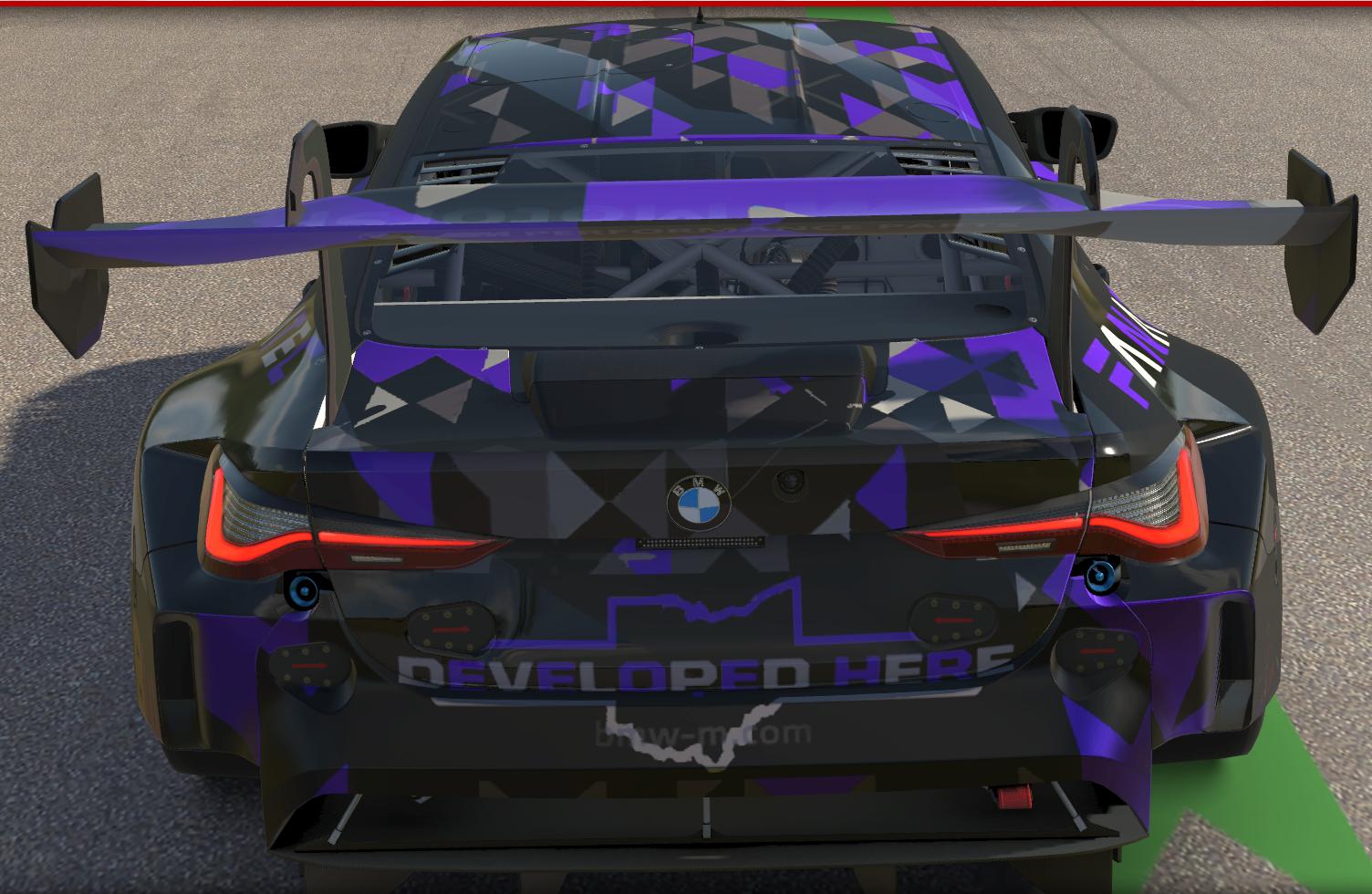 PRIVATE COLLECTION ADAM NOVOTNY RACING BMW M4 GT3 by Todd Schwarz - Trading Paints