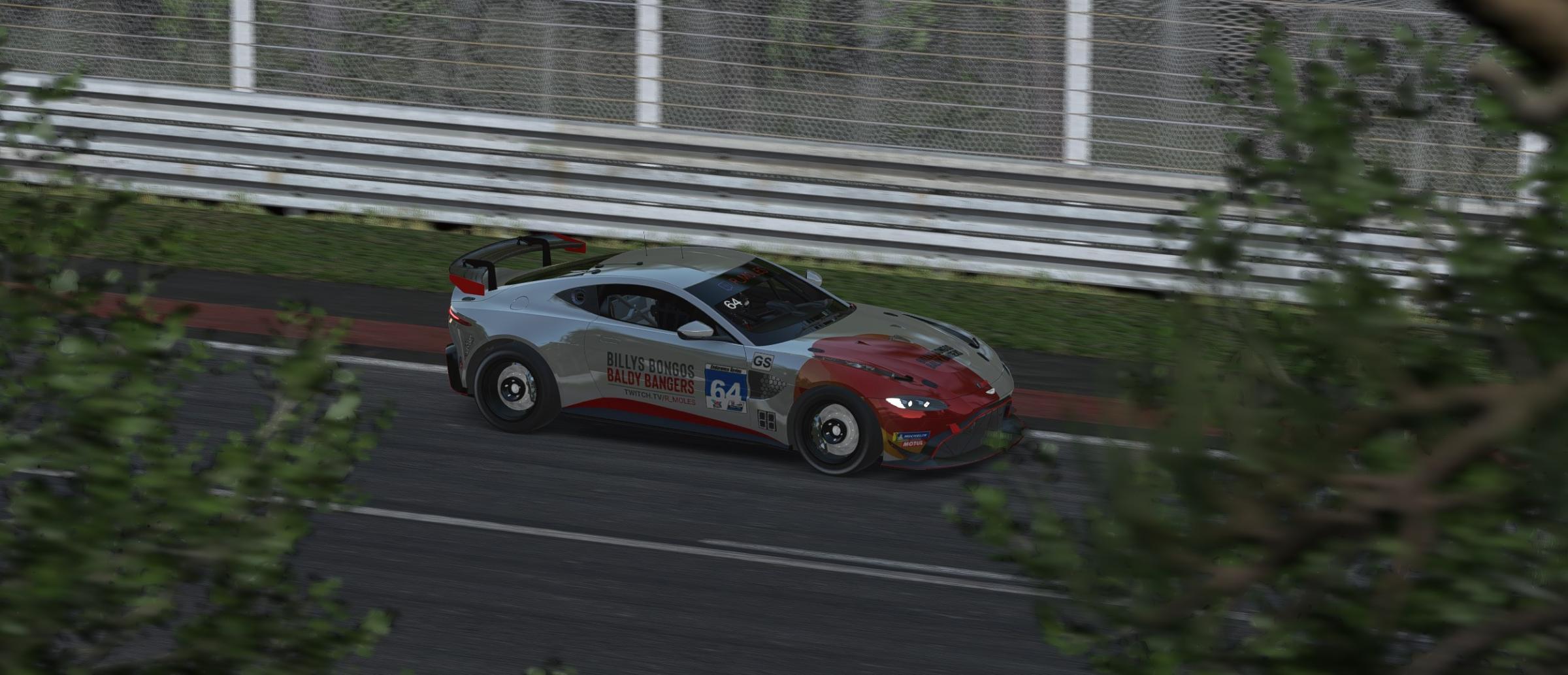 Billy Bongos Baldy Bangers Aston GT4 Team livery by Ryan Moles ...