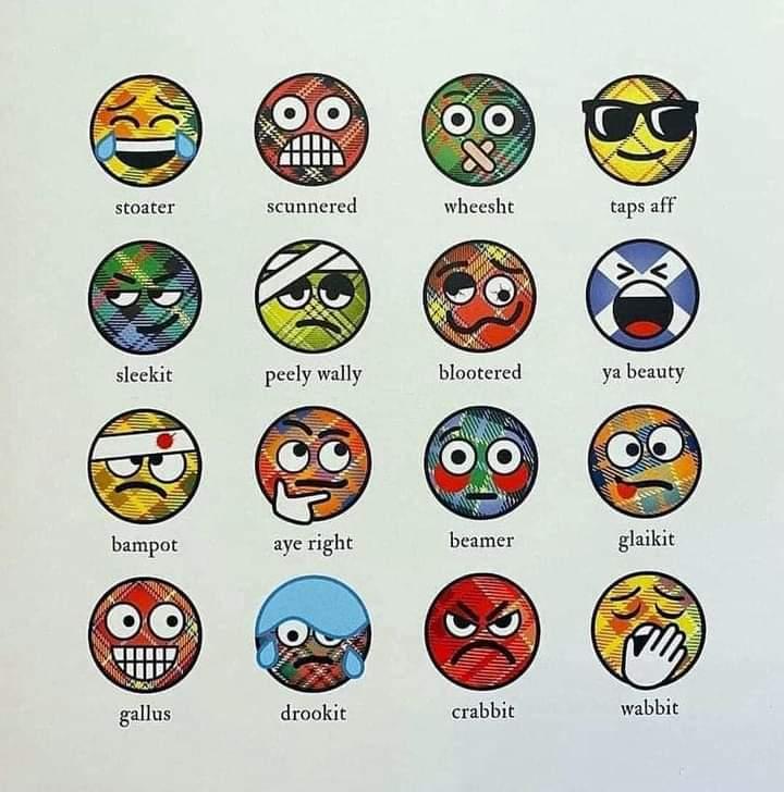 Scotland-Burns-JettaCup by Steven A Burns - Trading Paints