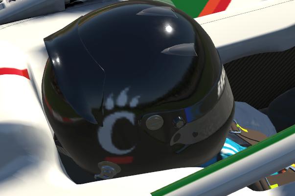 University of Cincinnati Bearcats by Lucas Lodato - Trading Paints